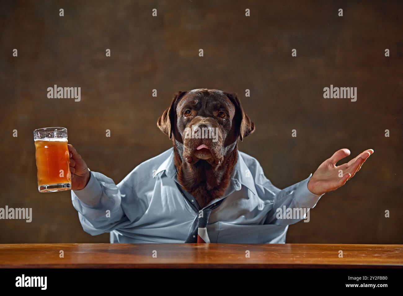 Brown Labrador wearing shirt and tie, sitting at desk and holding mug ...