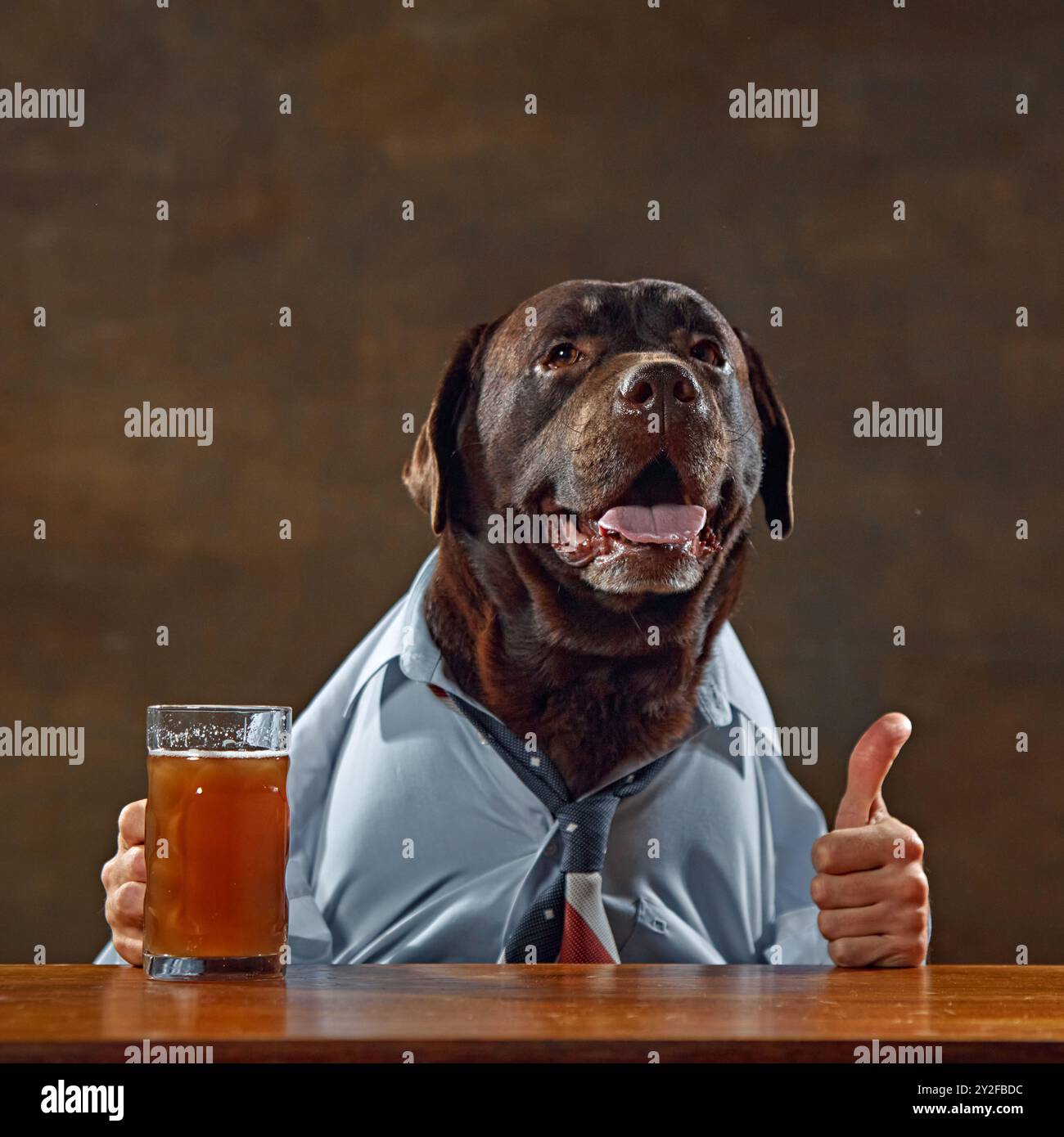 Brown Labrador wearing shirt and tie, sitting at table, holding mug of ...