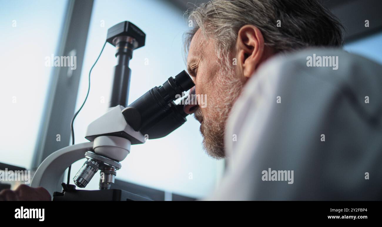 Close up of mature scientist conducting scientific research, analyzing ...