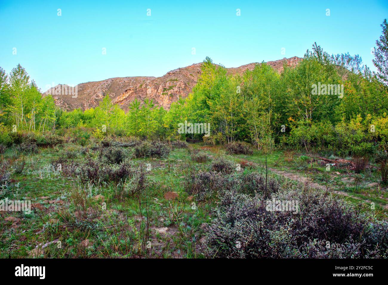 Clearing old plants hi-res stock photography and images - Alamy
