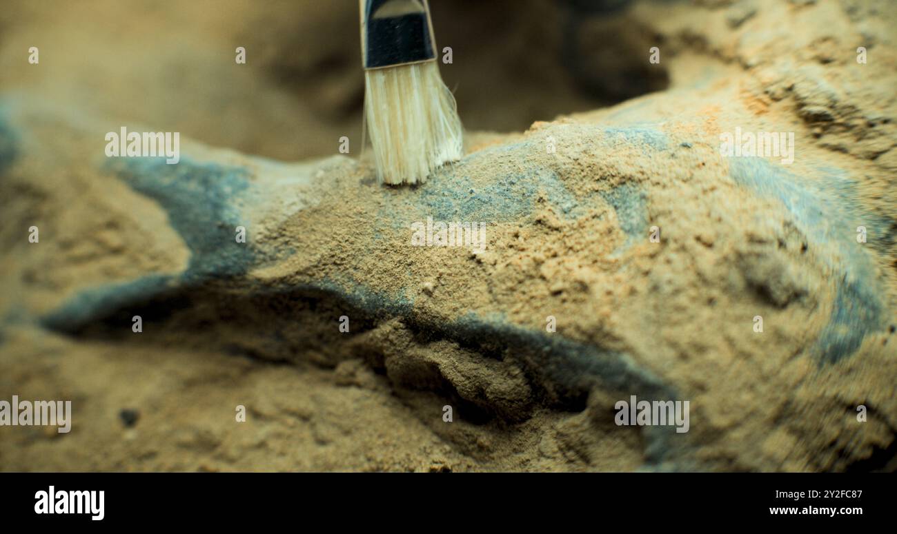 Archaeology animal laboratory hi-res stock photography and images - Alamy