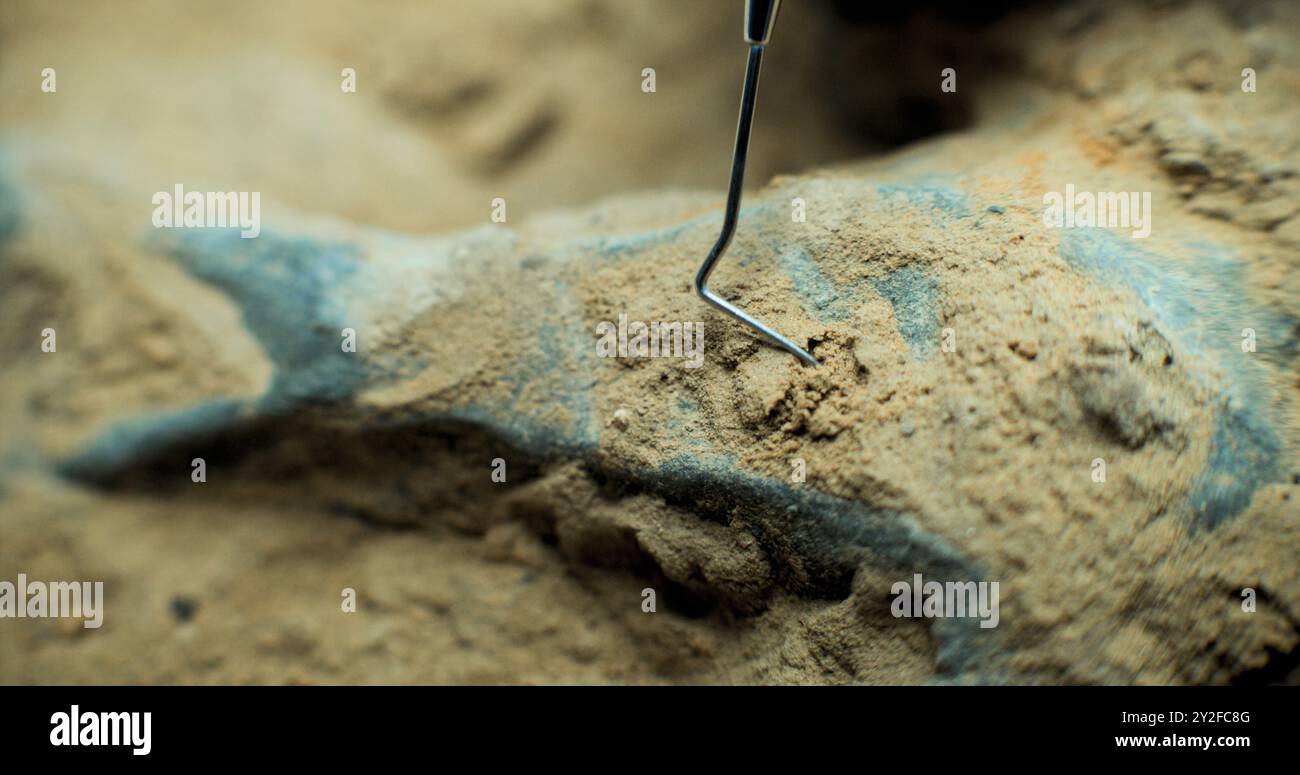 Close up shot of cleaning skeleton of prehistoric human or animal from ...