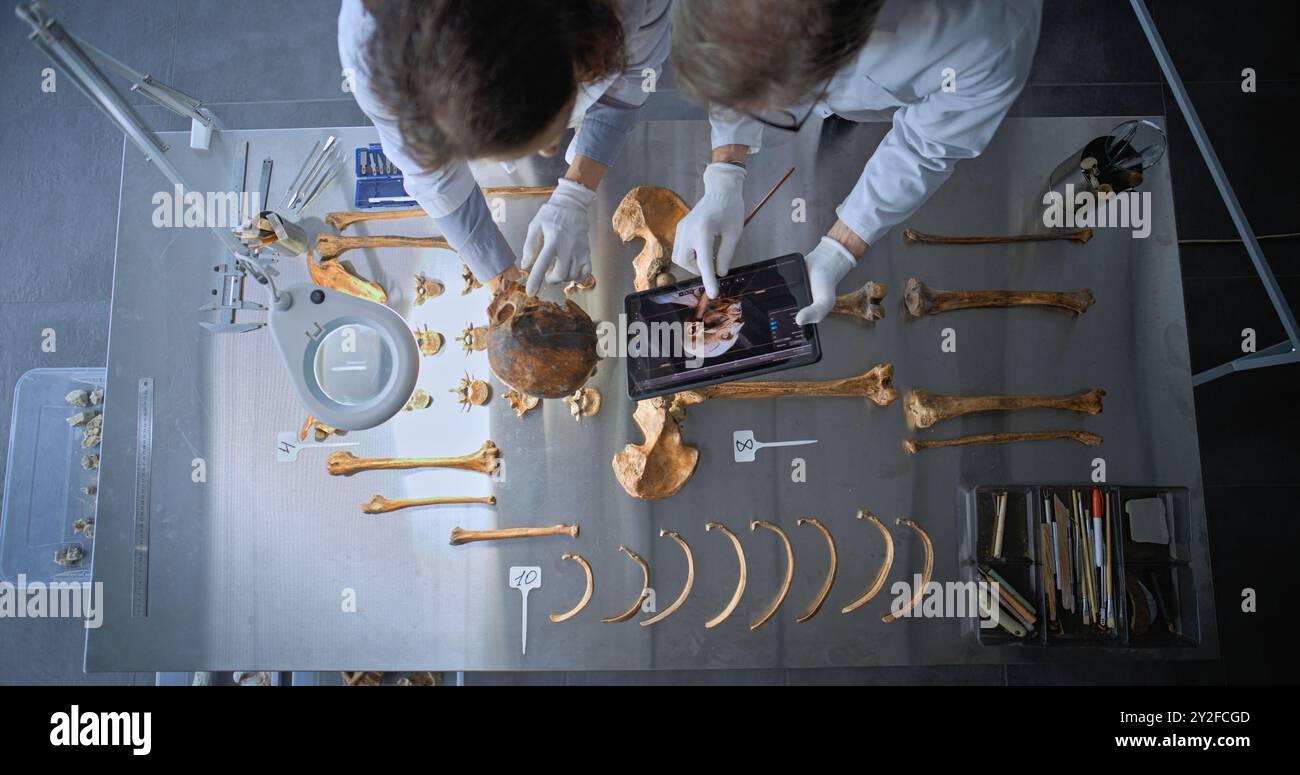 Top View: Two scientists study bones of ancient human skeleton, create ...