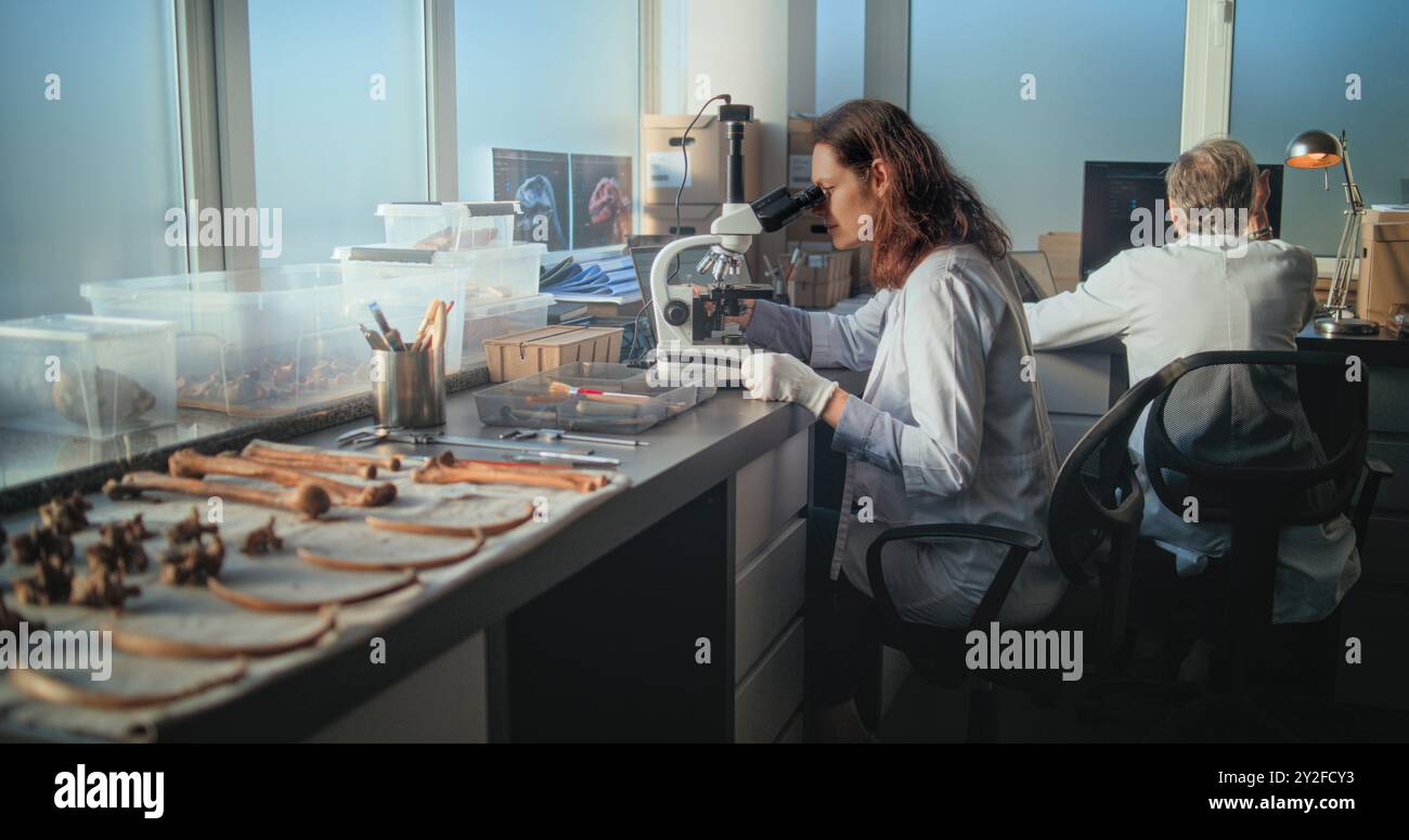 Female chemist or microbiologist conducts fossil analysis under ...
