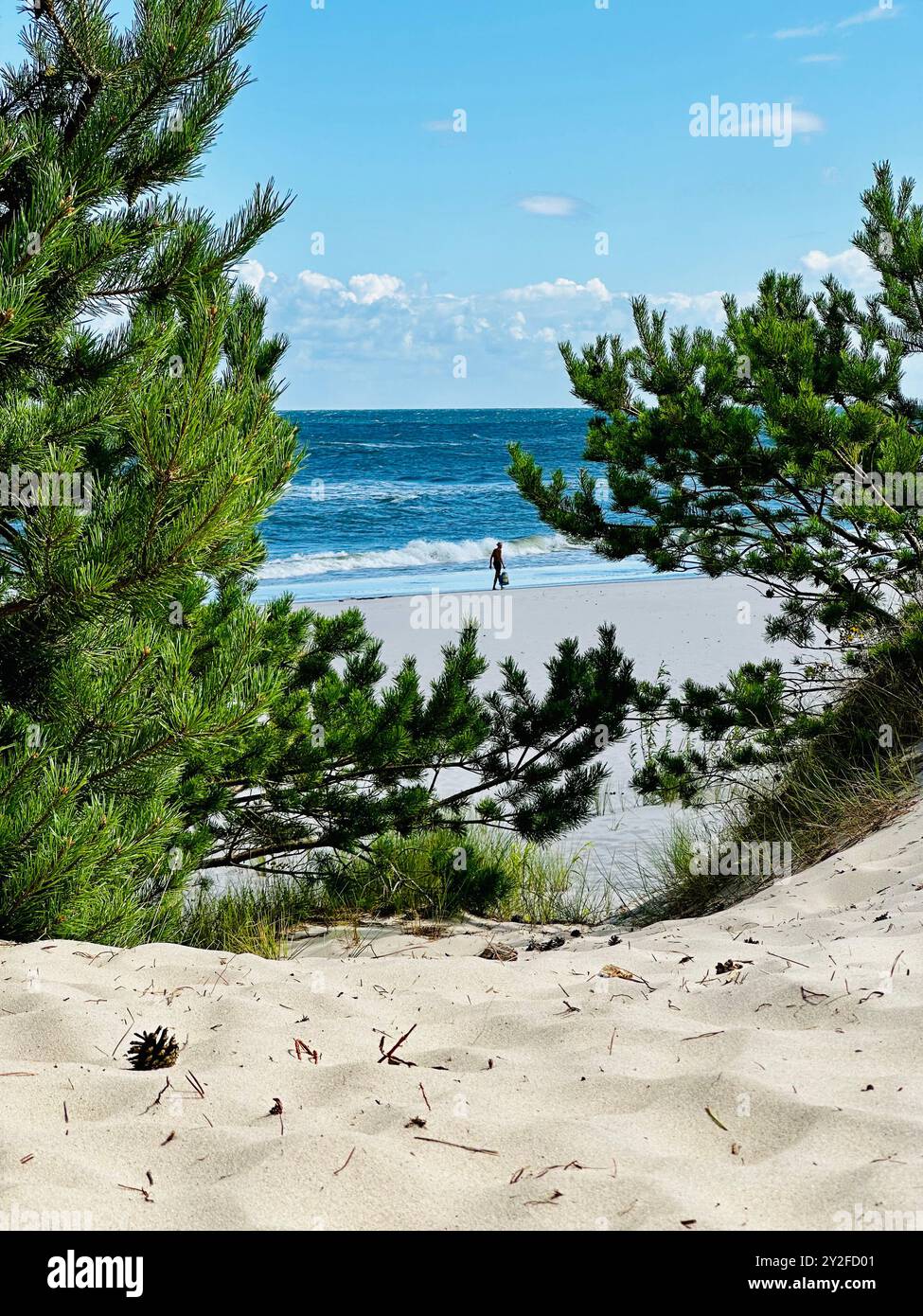 Beautiful wild beaches in Hel Wild beach in baltic sea. Aerial view of ...