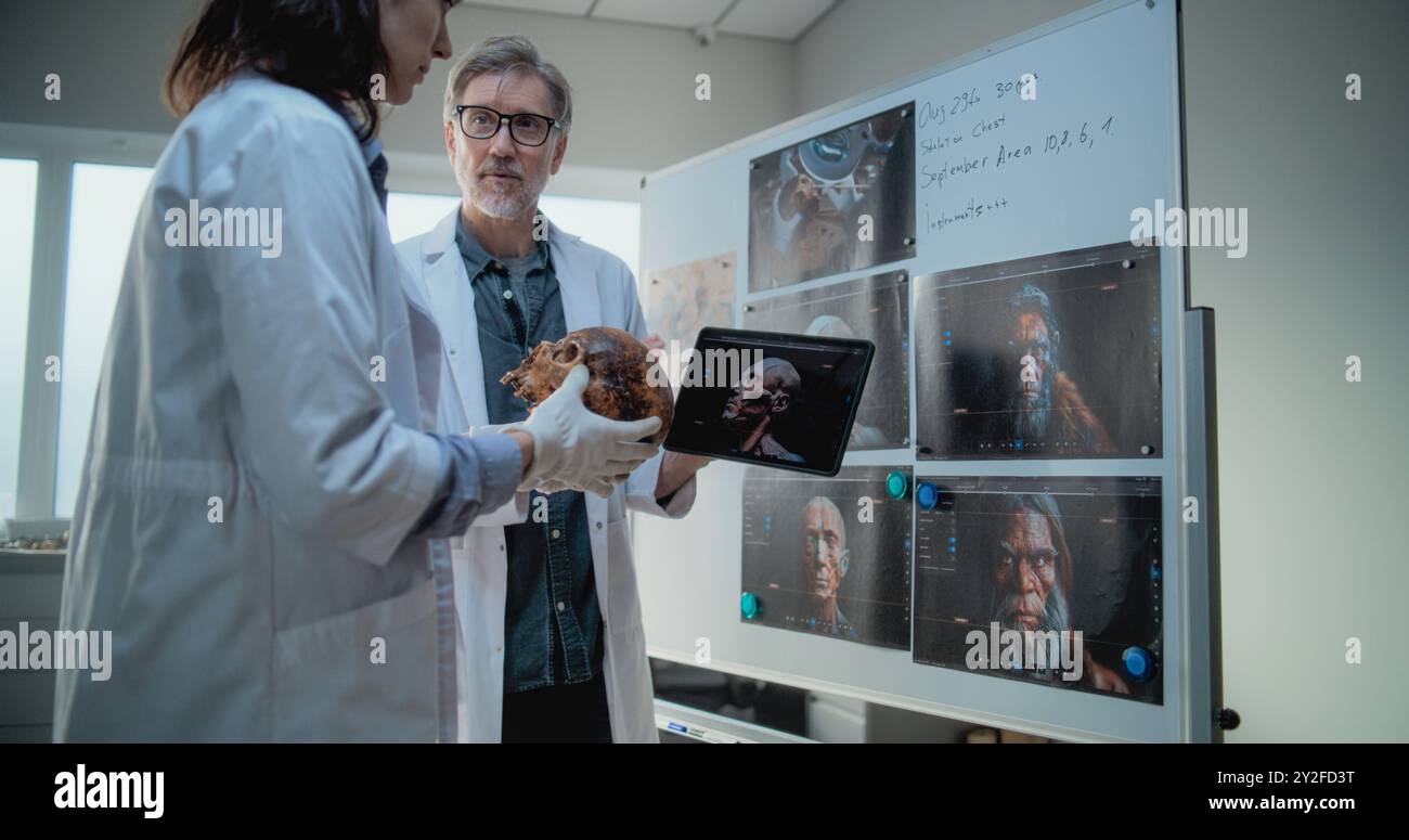 Male and female scientists study anatomy of fossil skull of ancient man ...