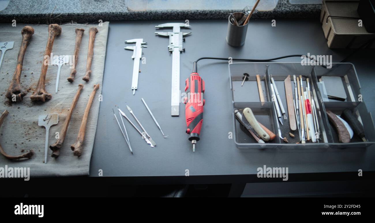 Workspace in advanced archaeological science lab. Top view on specimen ...