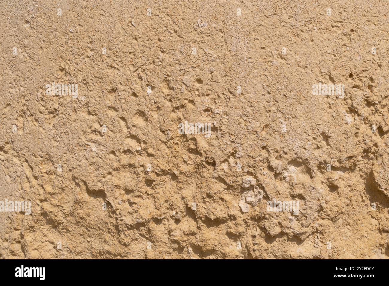 Rough textured beige stone surface with irregular bumps and natural ...