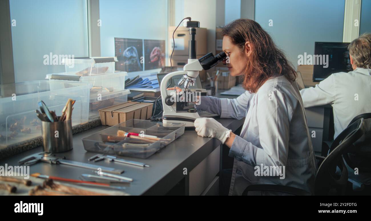 Female chemist or microbiologist conducts fossil analysis under ...