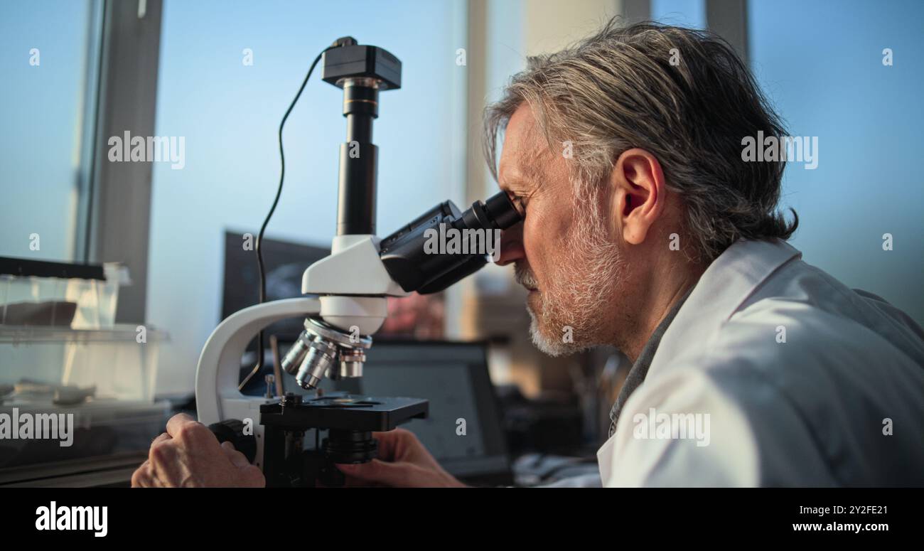 Mature microbiologist analyzes sample under hi-res stock photography ...