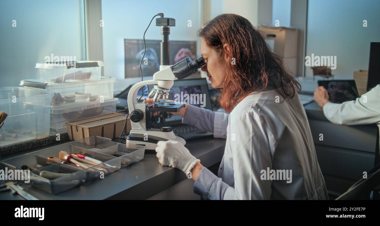 Female chemist microbiologist conducts fossil hi-res stock photography ...