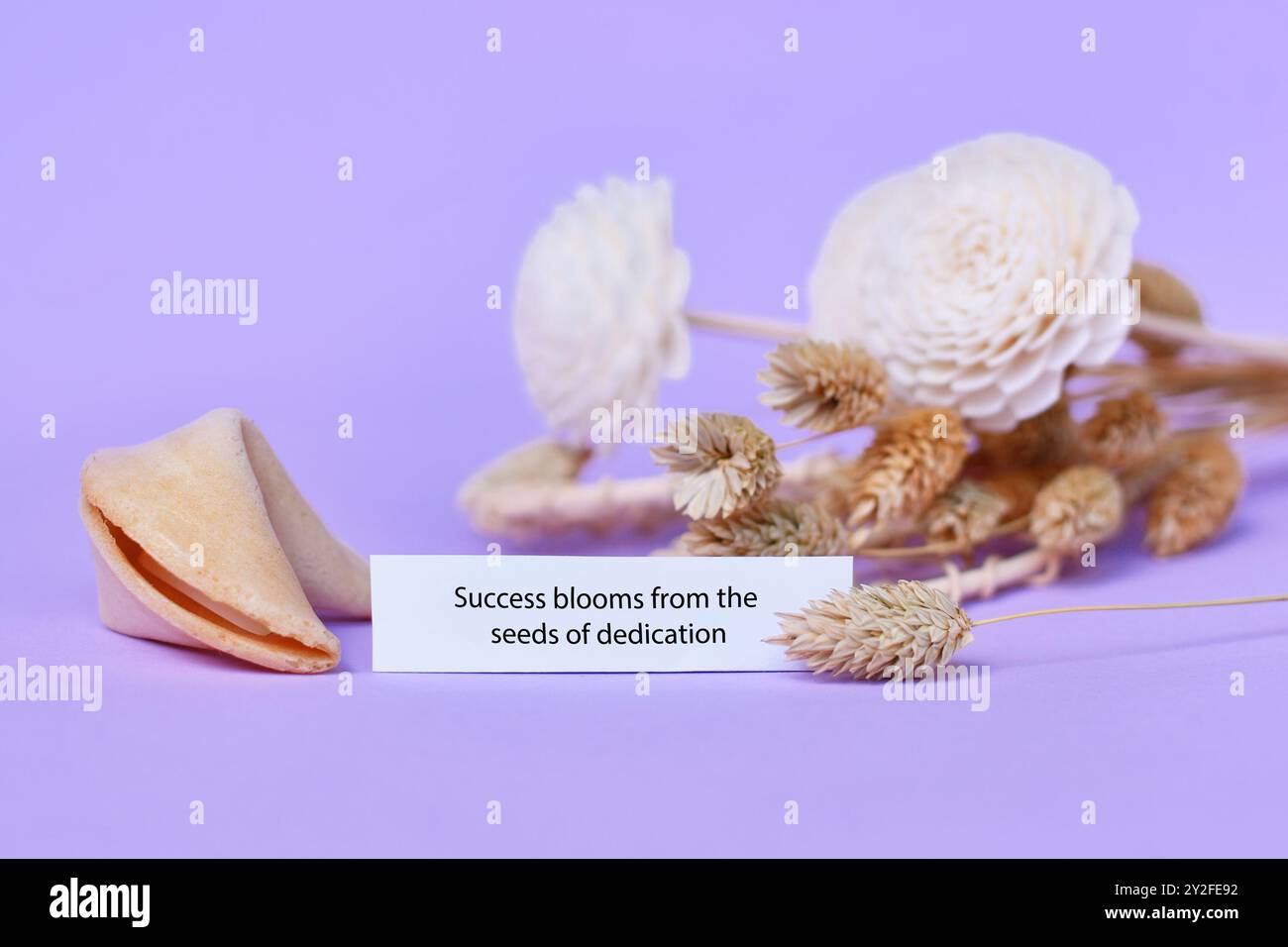 Fortune cookie with motivational text on paper saying 'Success blooms ...
