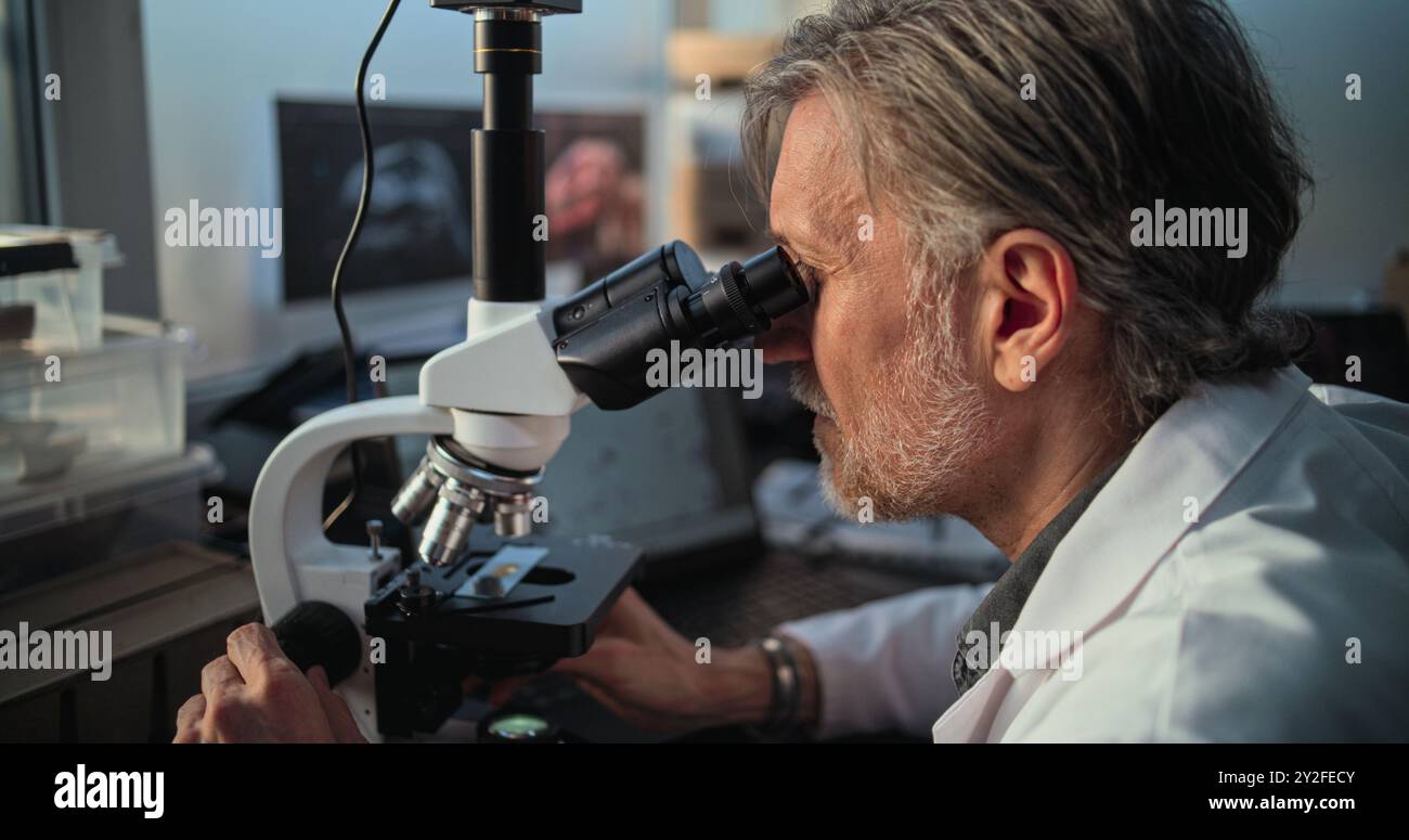 Mature microbiologist analyzes sample under hi-res stock photography ...