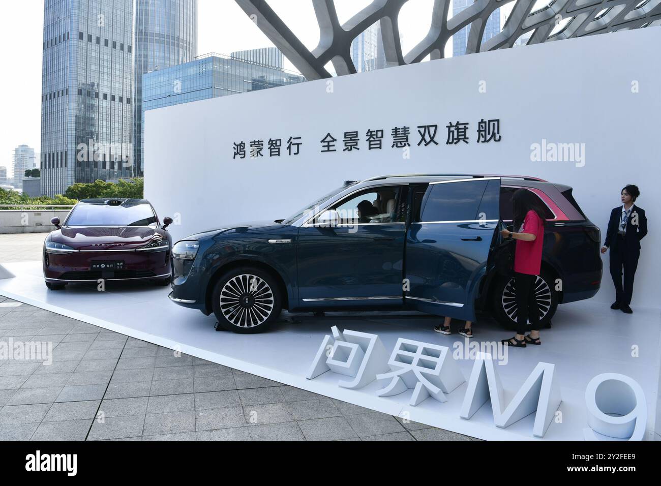 Luxeed hi-res stock photography and images - Alamy