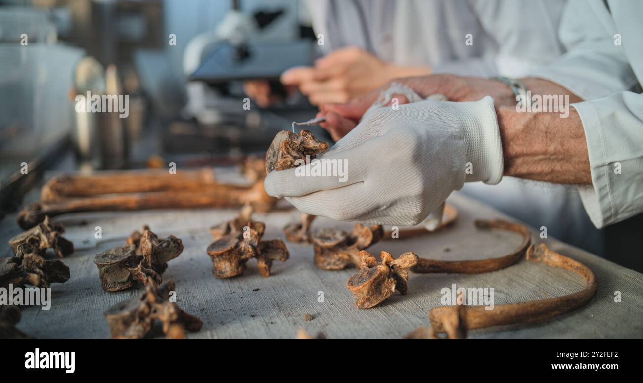 Two archaeologists work in advanced archaeological lab. Mature ...