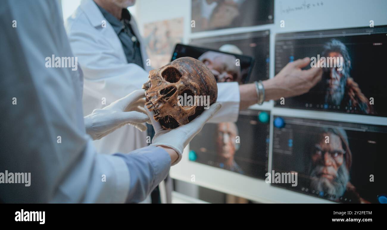 Male and female scientists study anatomy of fossil skull of ancient man ...
