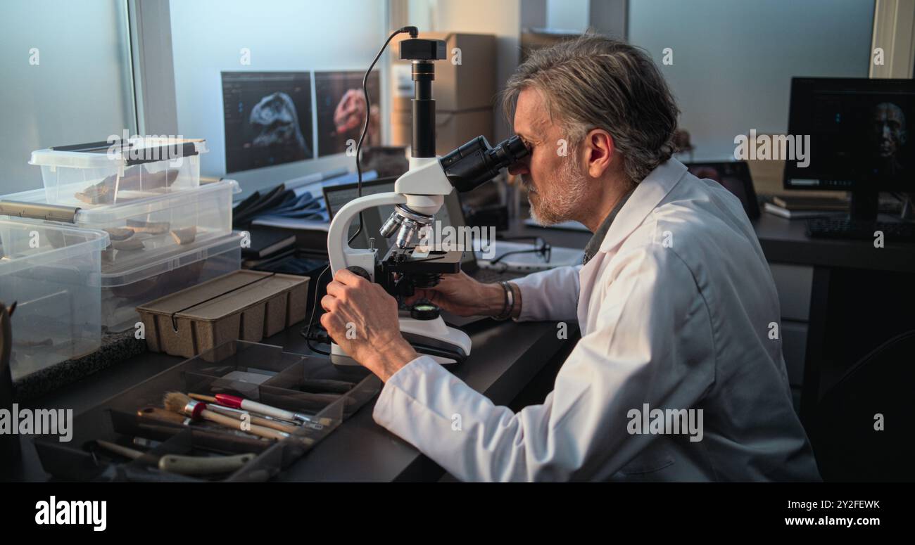 Mature scientist or microbiologist conducts fossil analysis under ...