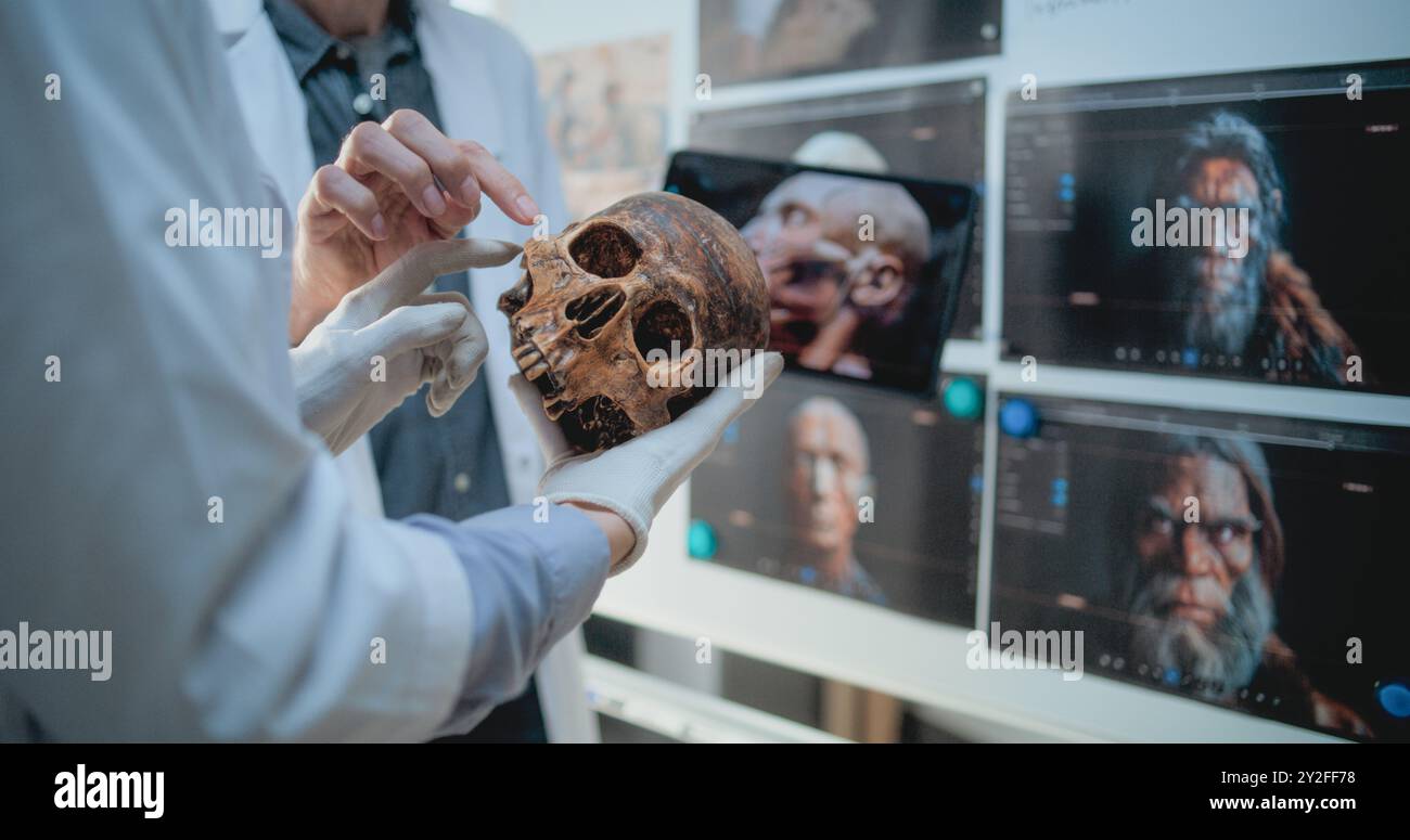 Male and female scientists study anatomy of fossil skull of ancient man ...