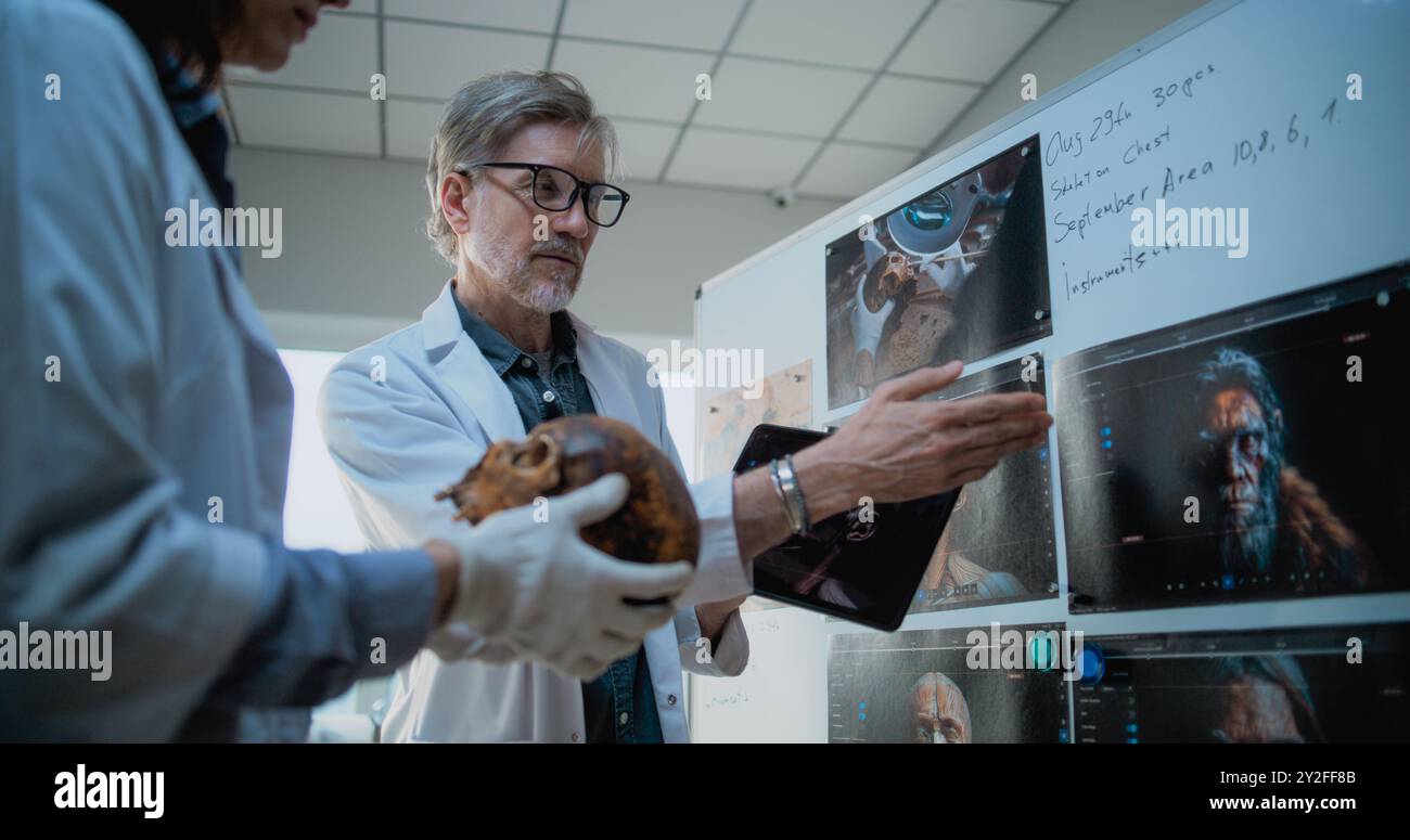 Male and female scientists study anatomy of fossil skull of ancient man ...