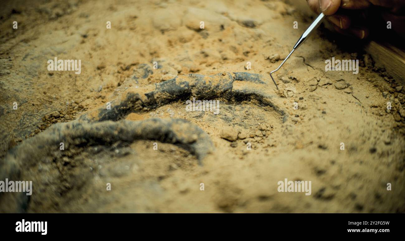 Close up shot of fossil remains of ancient human or animal ...