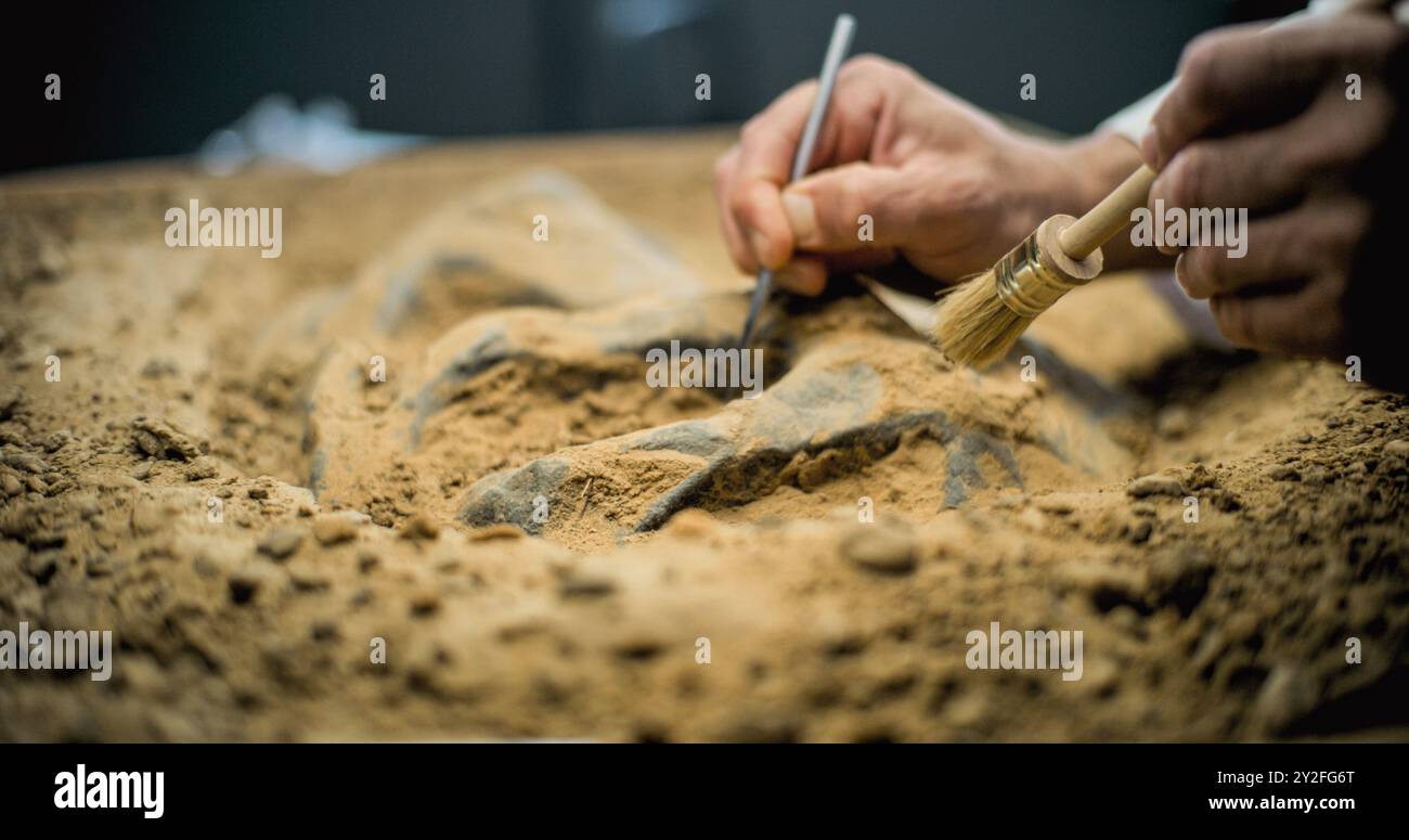 Close up shot of cleaning fossil remains of extinct civilization from ...