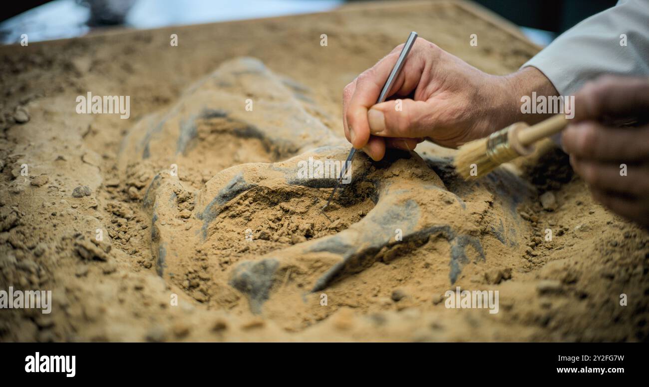 Close up shot of cleaning fossil remains of extinct civilization from ...