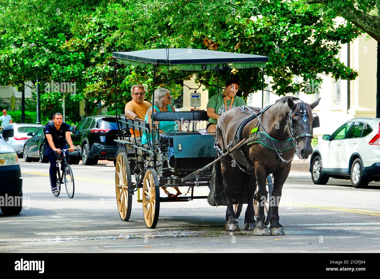 Horse and buggy rides in downtown historic Savannah, Georgia . Created ...