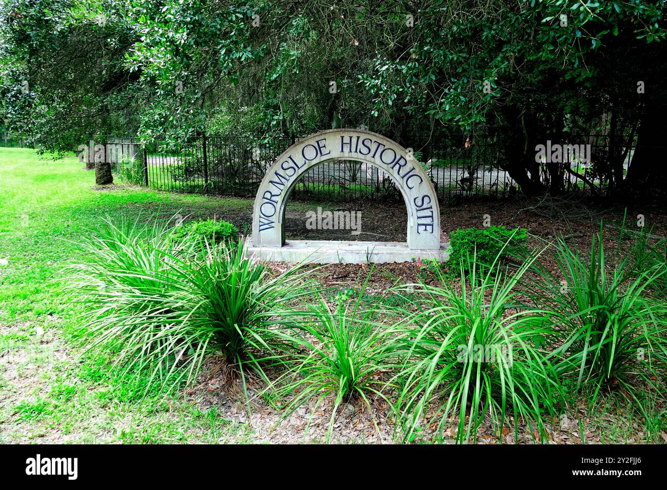 The Wormsloe Historic Site, originally known as Wormsloe Plantation, is ...