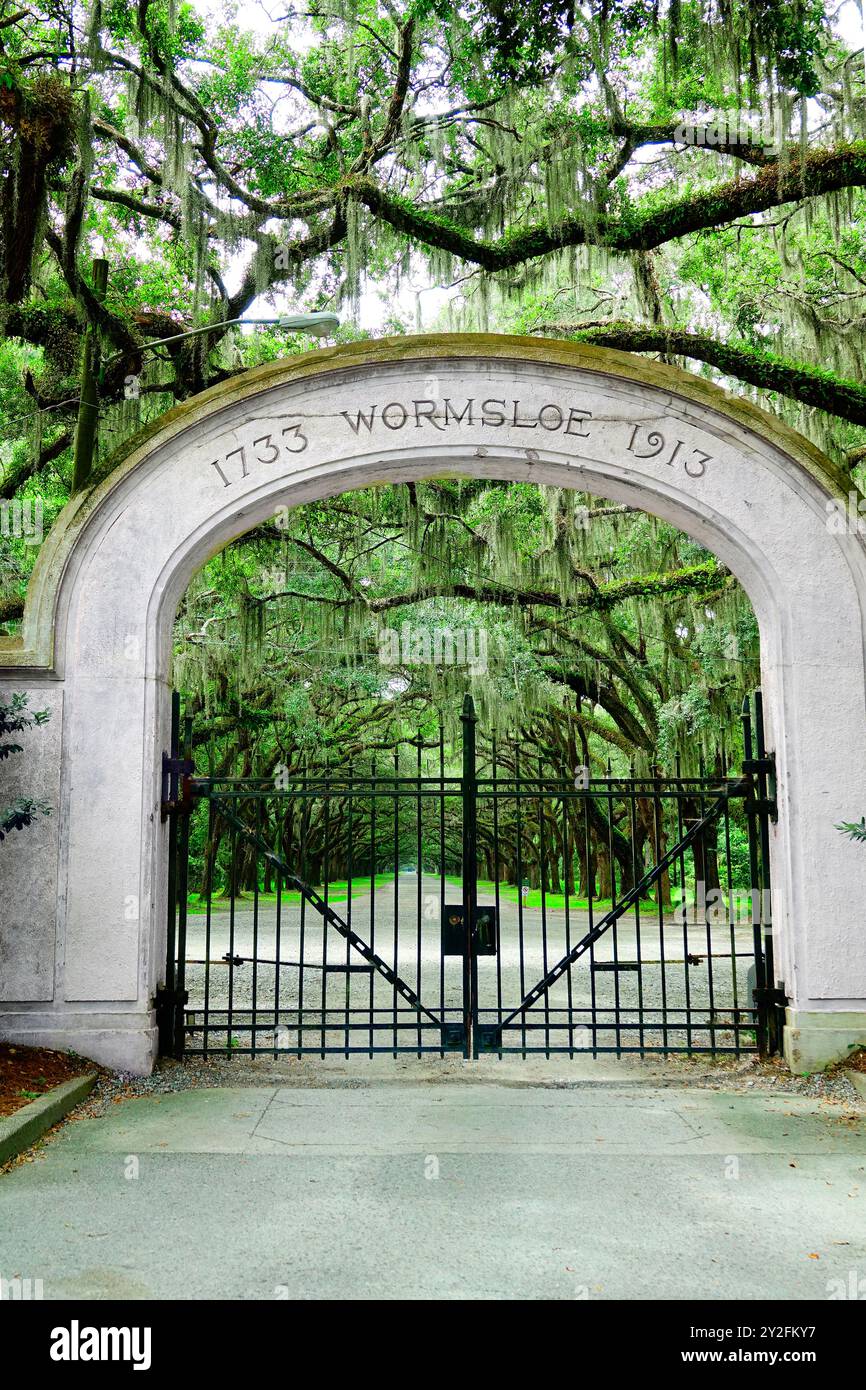 The Wormsloe Historic Site, originally known as Wormsloe Plantation, is ...