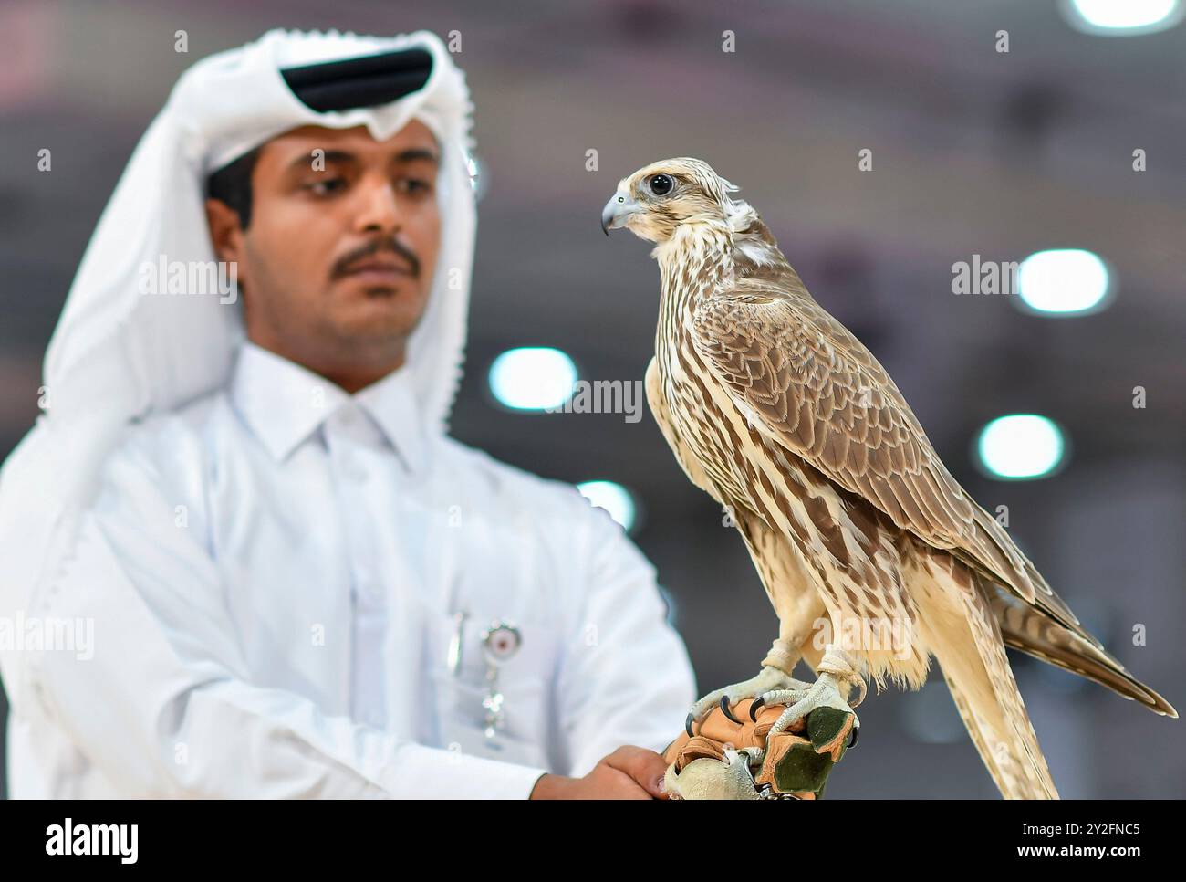 Doha, Qatar. 10th Sep, 2024. An exhibitor shows a falcon during the ...