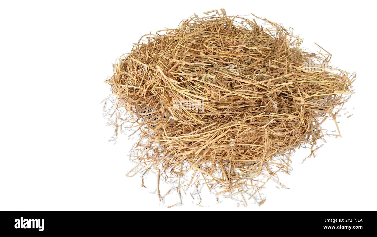 cut out image of lump of dry straw with clipping paths, against white ...