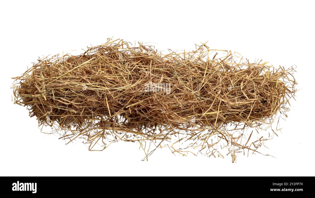 cut out image of lump of dry straw with clipping paths, against white ...