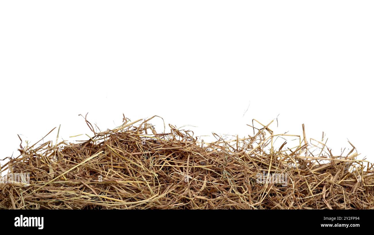 cut out image of lump of dry straw with clipping paths, against white ...