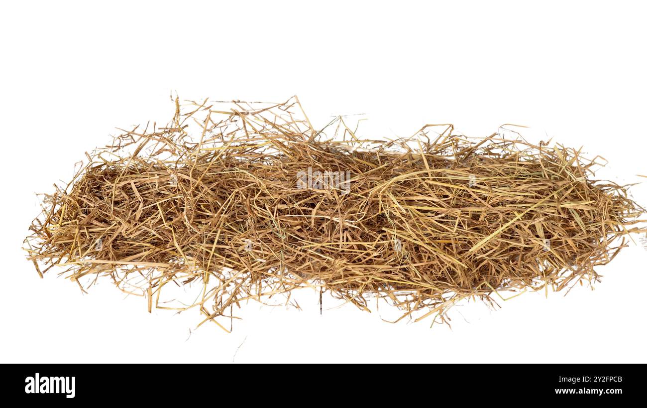 cut out image of lump of dry straw with clipping paths, against white ...