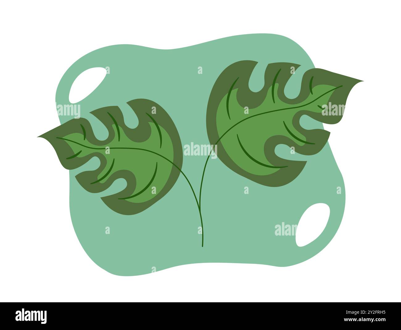 Minimalistic tropical leaves. Bloom and blossom exotic plants ...