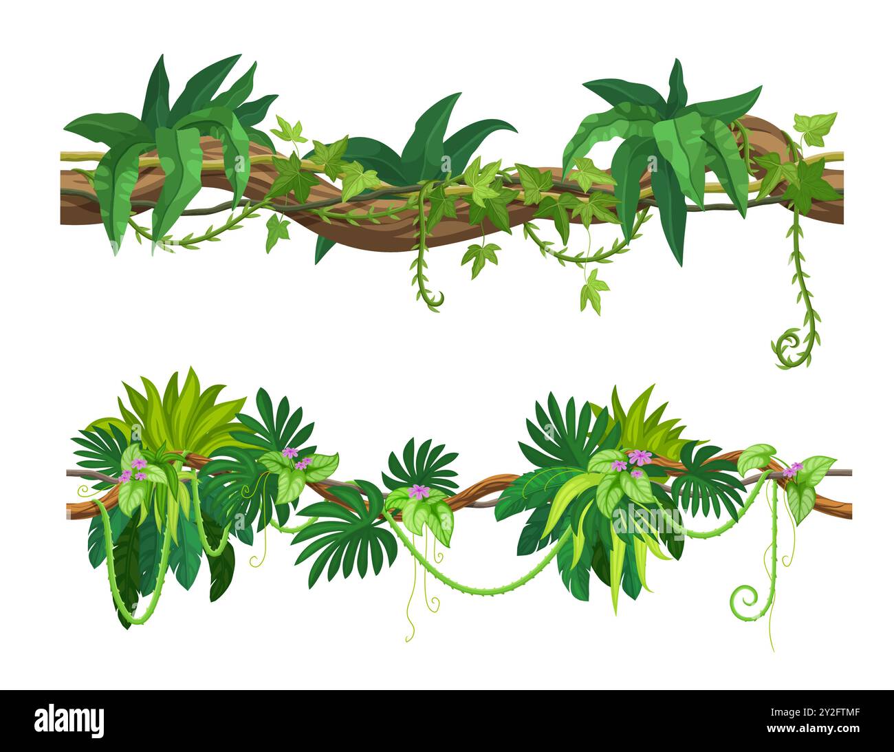 Tropical jungle rain forest liana branch with green leaves, vines and ...
