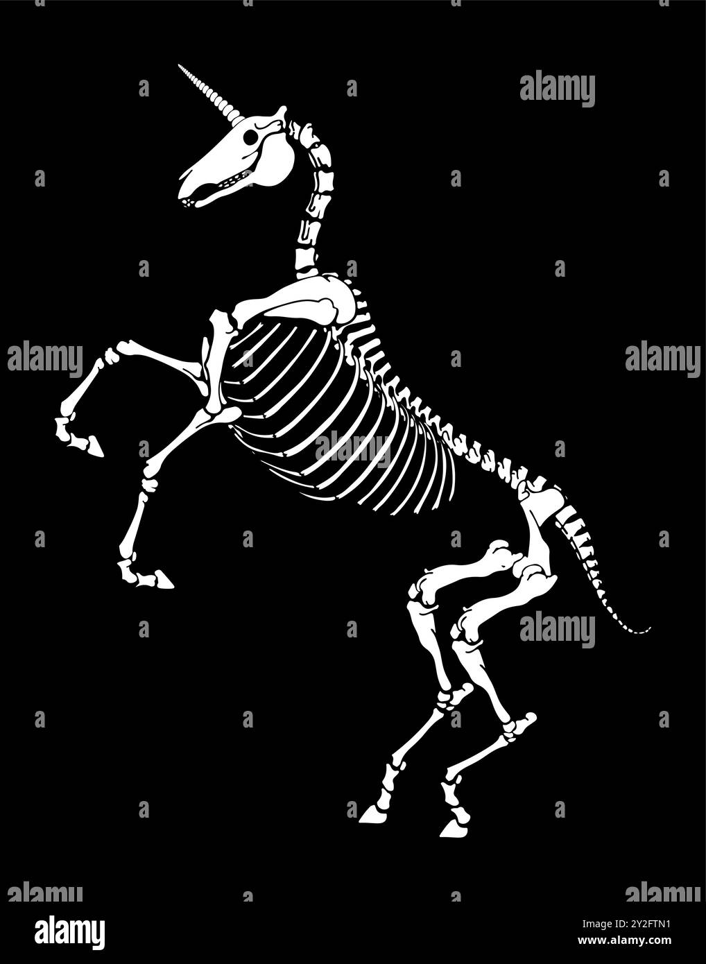 skeletal structure of a mythical unicorn in a dynamic pose Stock Vector ...
