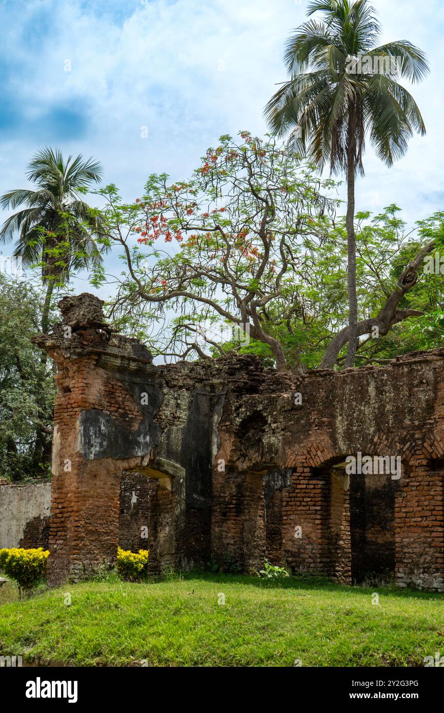 Tall palm tree rising above an abandoned old ruins, weathered brick ...