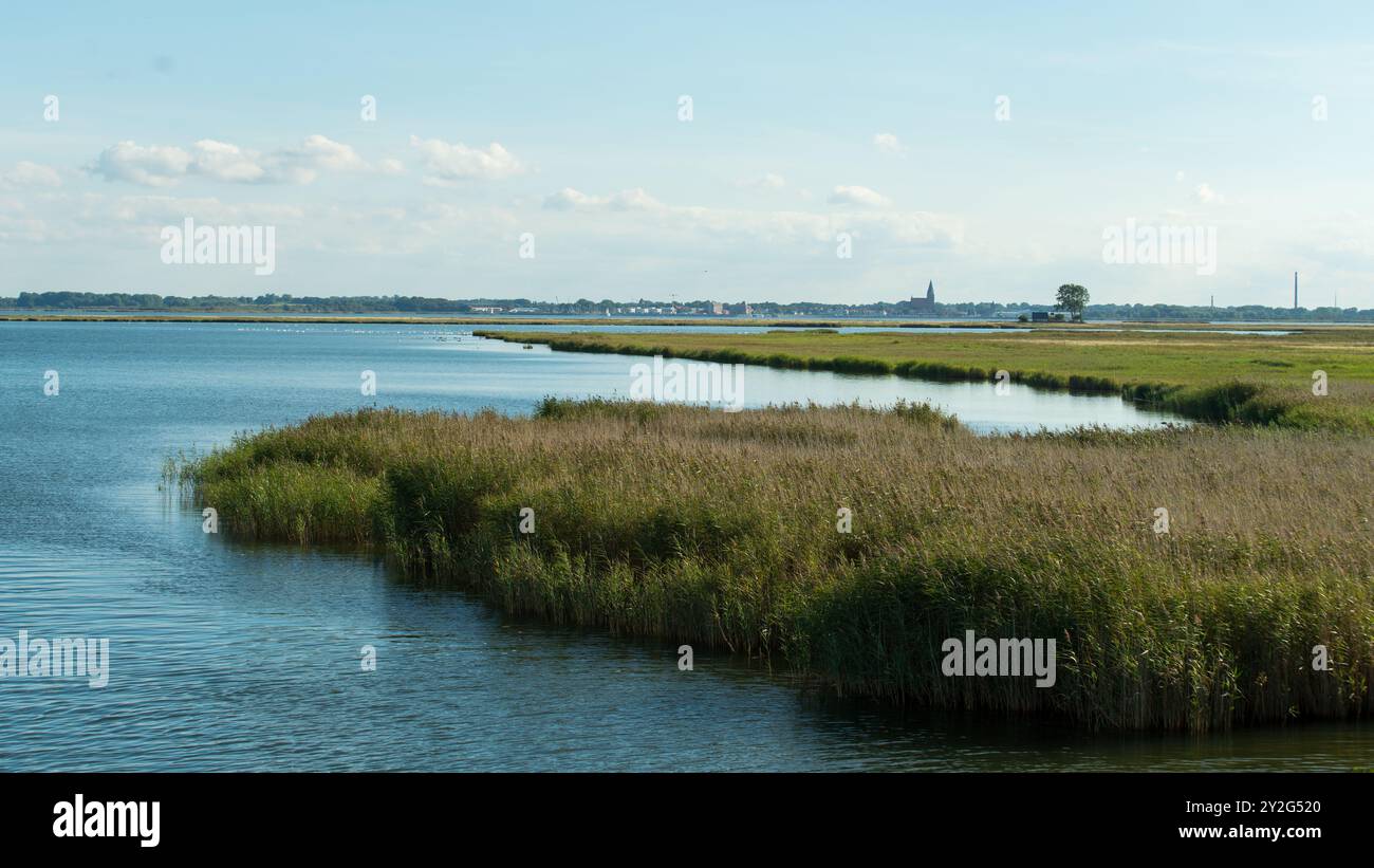 Landscape on the German peninsula Fischland-Darß-Zingst Stock Photo - Alamy