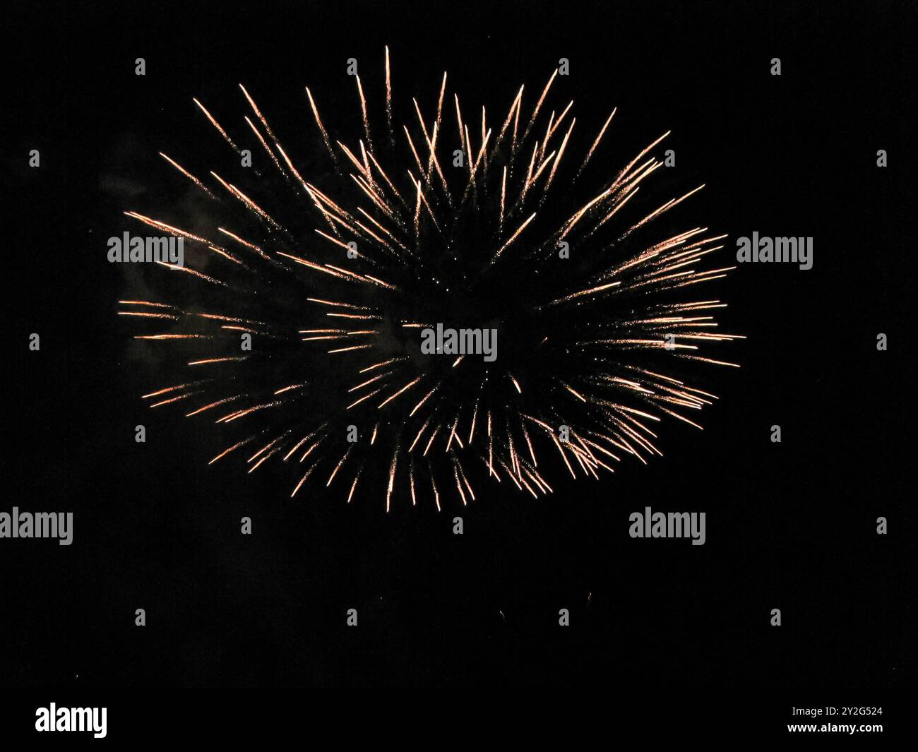 Explosive, vibrant fireworks illuminate the night sky. Perfect for ...