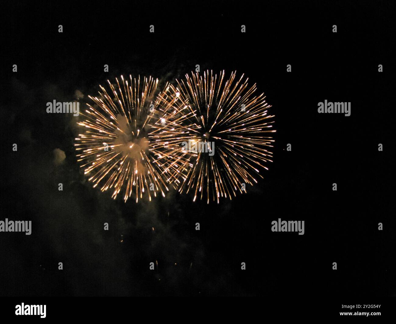 Explosive, vibrant fireworks illuminate the night sky. Perfect for ...