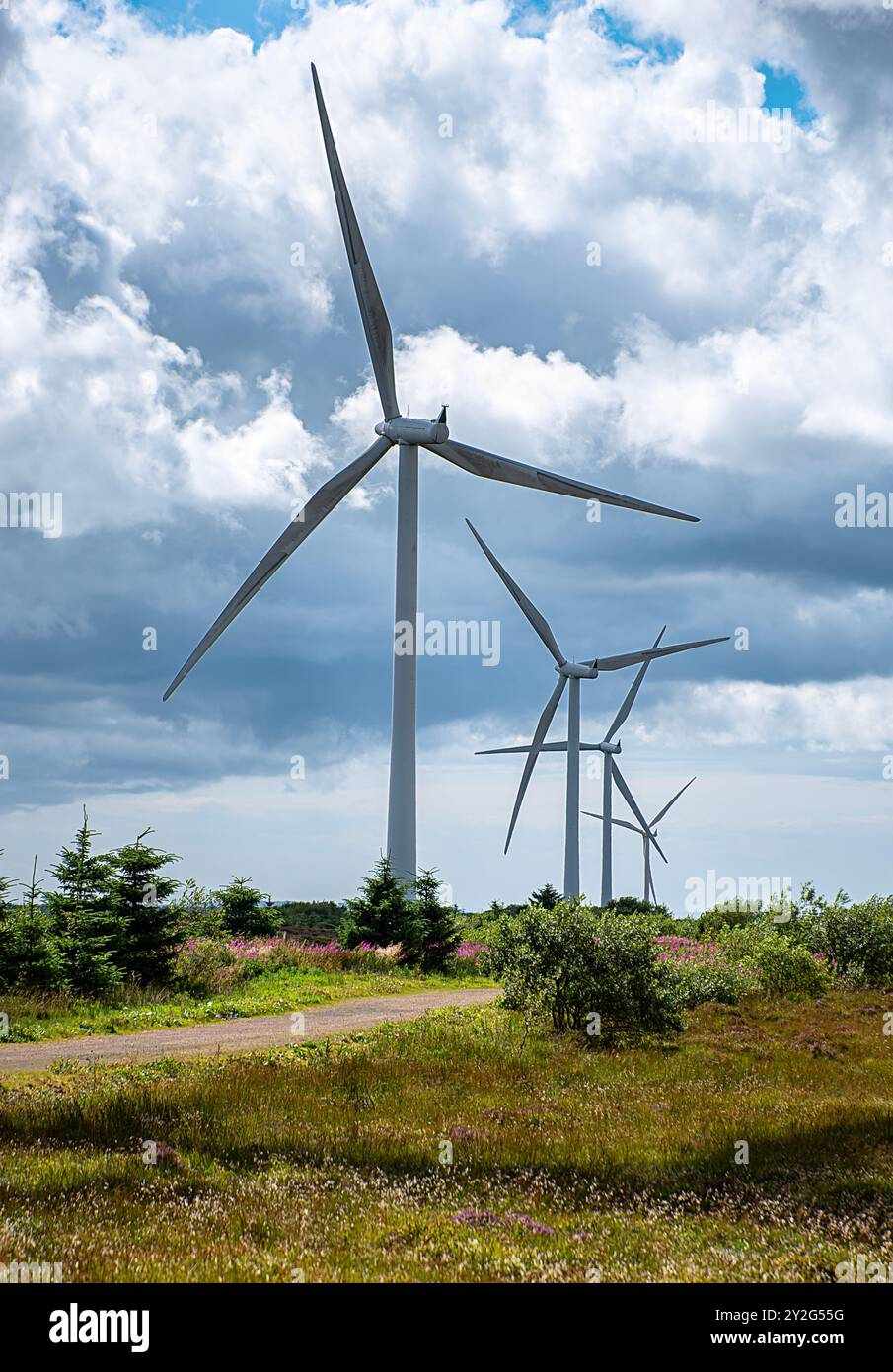 Landscape photography of wind turbine; windmill; wind power; power ...