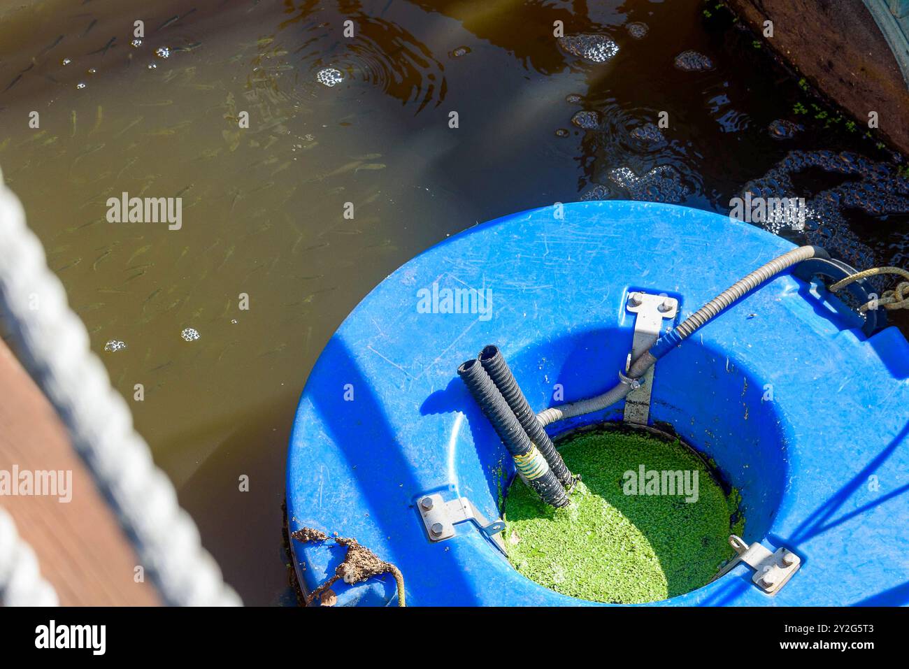 A feeding trough for fry at a small fish farm in a public park. A walk ...