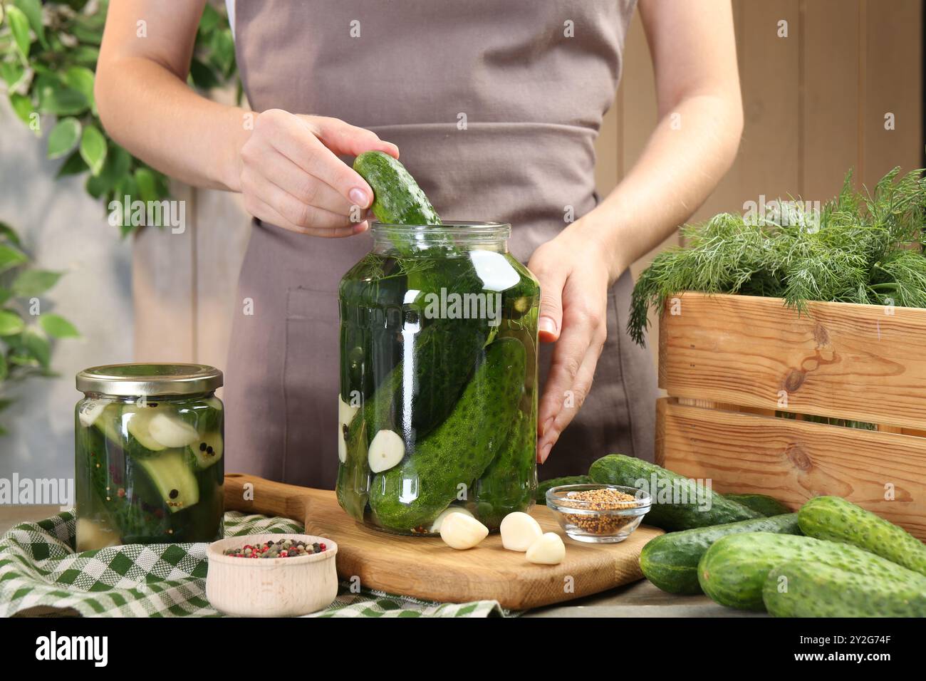 Making pickles. Woman putting cucumber into glass jar at table, closeup ...