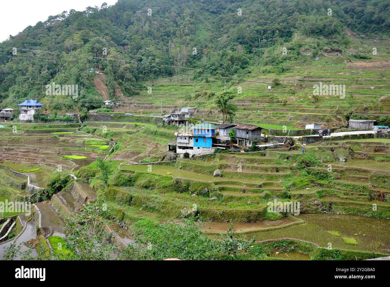 Philippines. Banaue rice fields Stock Photo - Alamy