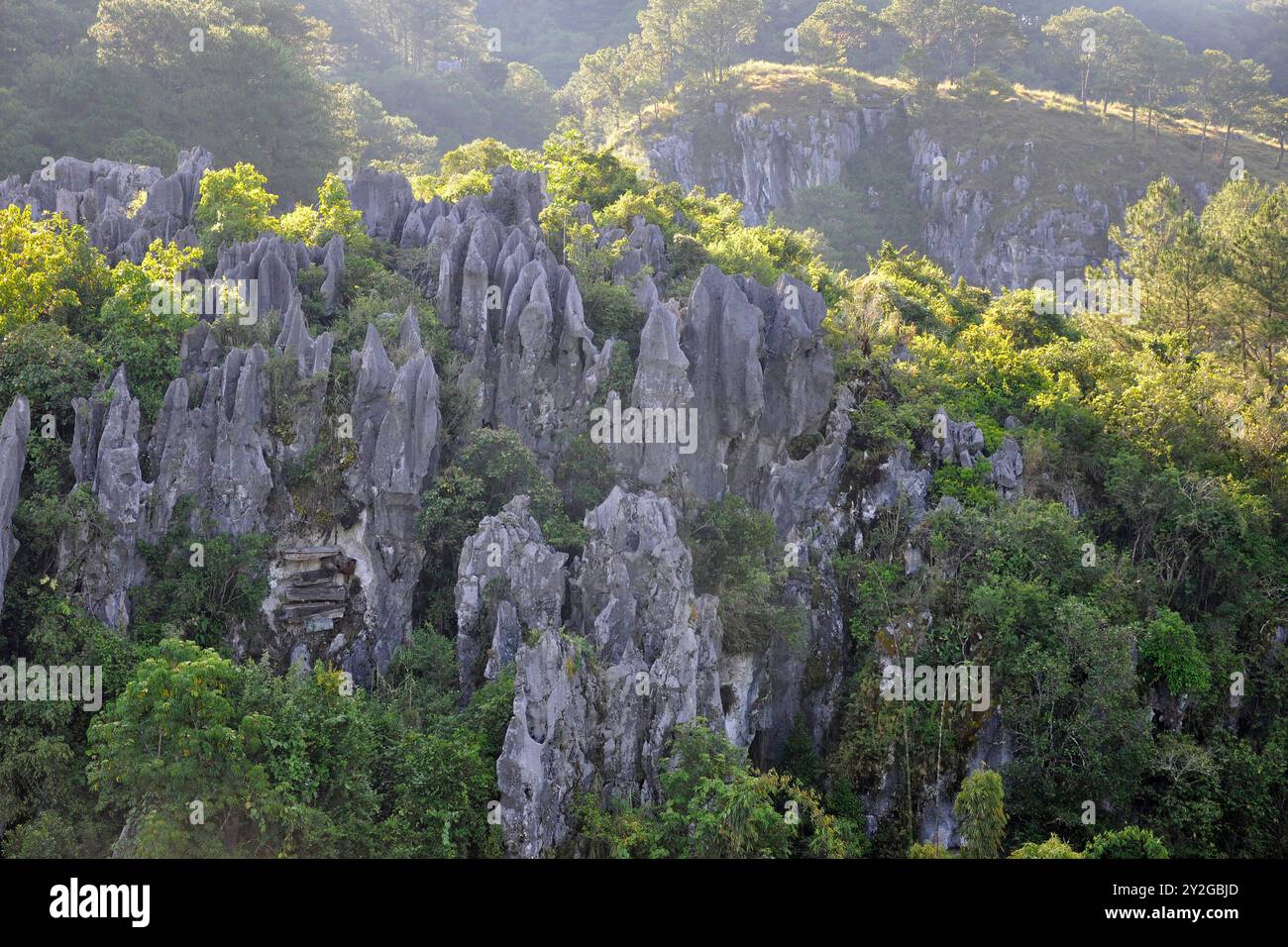 Philippines. Sagada. landscape Stock Photo - Alamy