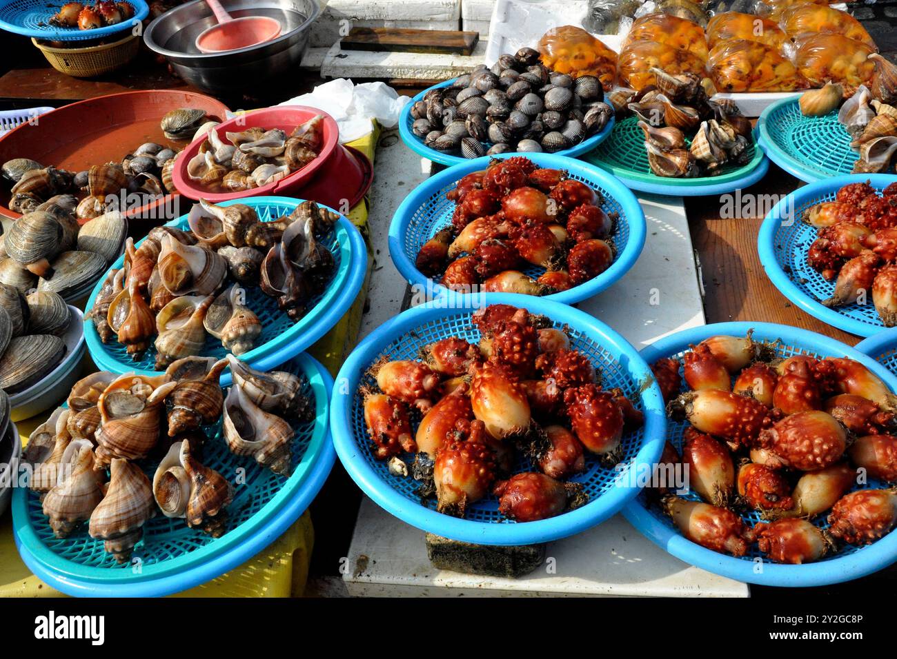 South Korea. Busan. fish market Stock Photo - Alamy