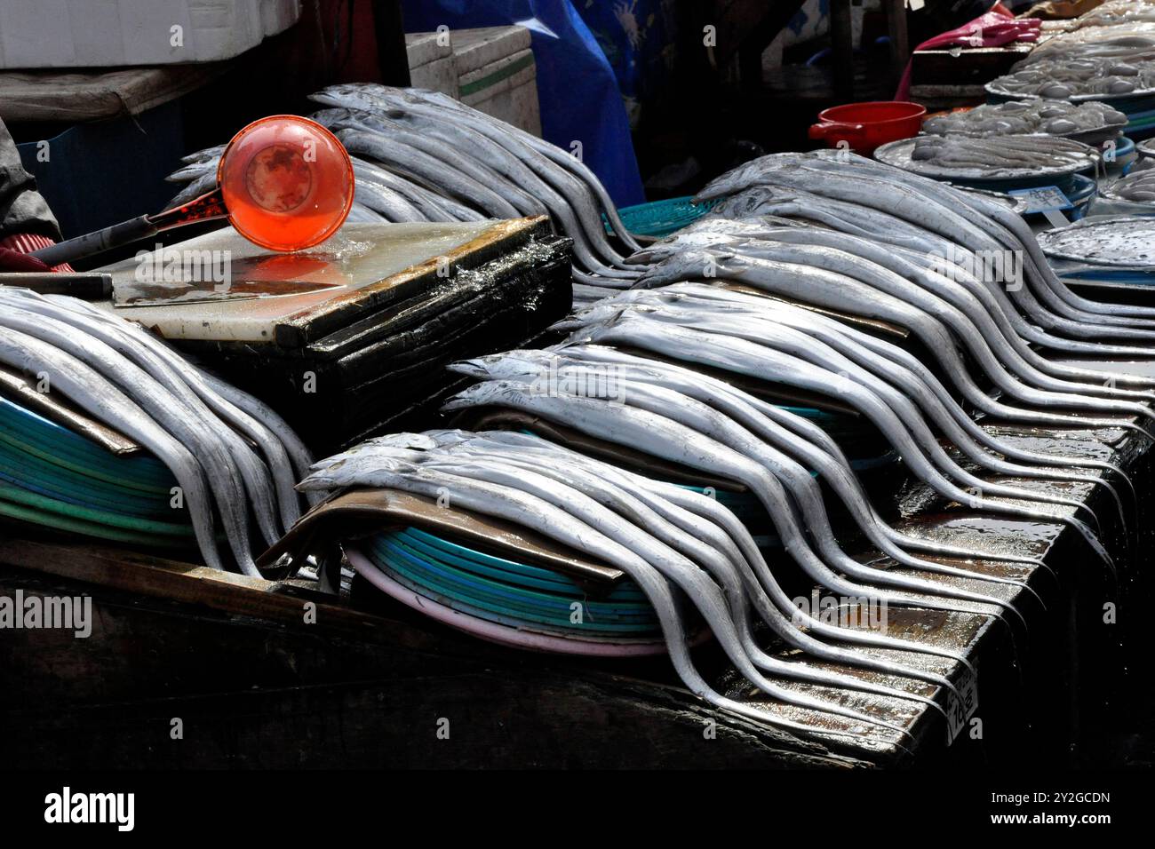 South Korea. Busan. fish market Stock Photo - Alamy