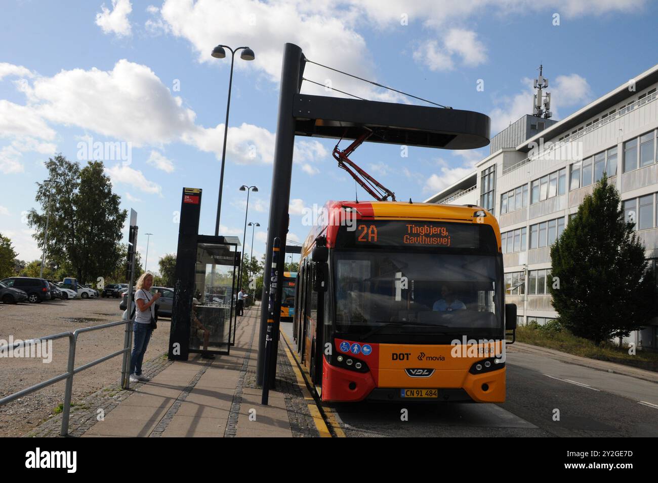 Copenhagen/ DenmarK/10 september 2024/ Route 2A danish public bus ...