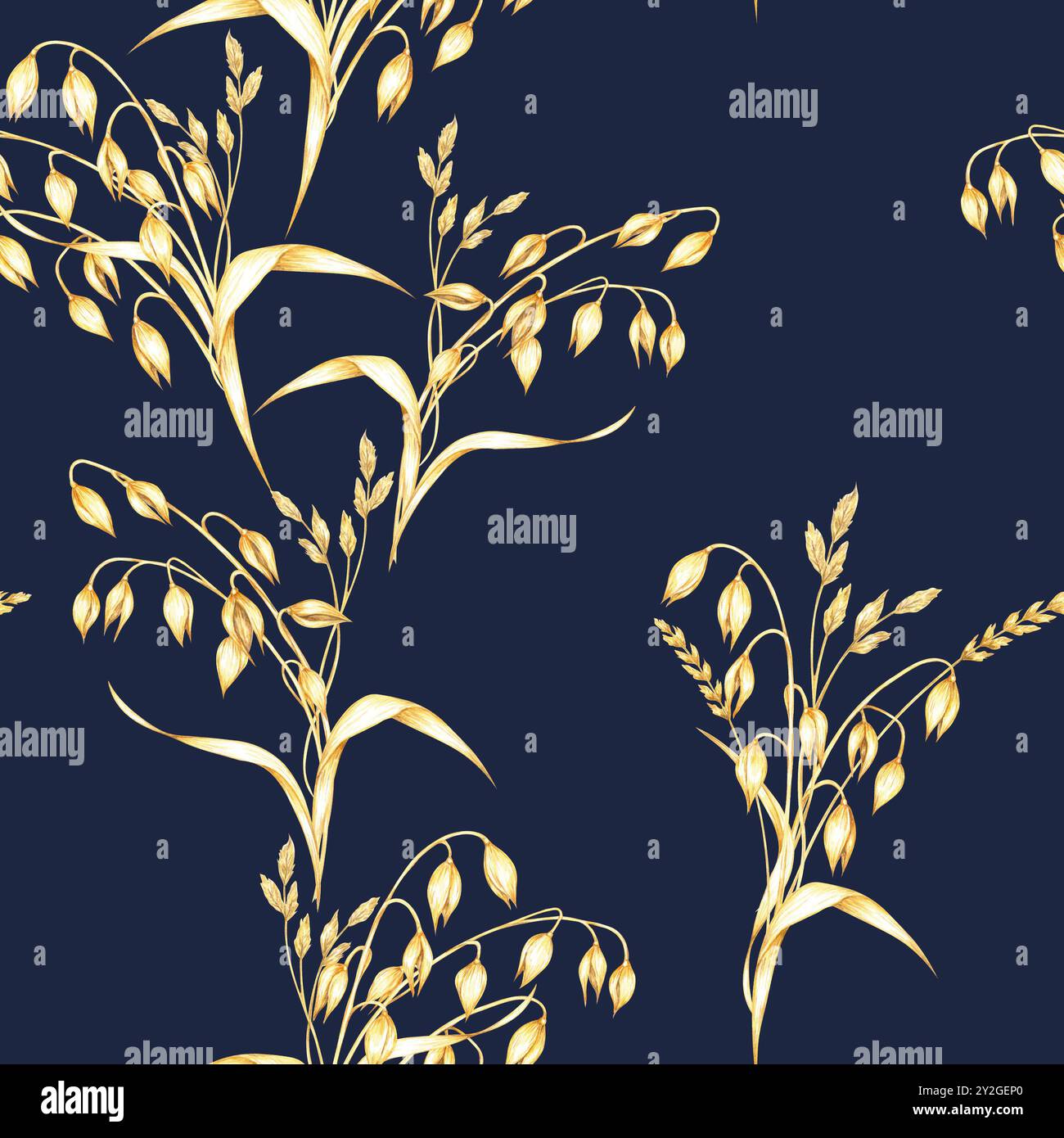 Oats stalks seamless pattern on dark blue background. Golden oats ...